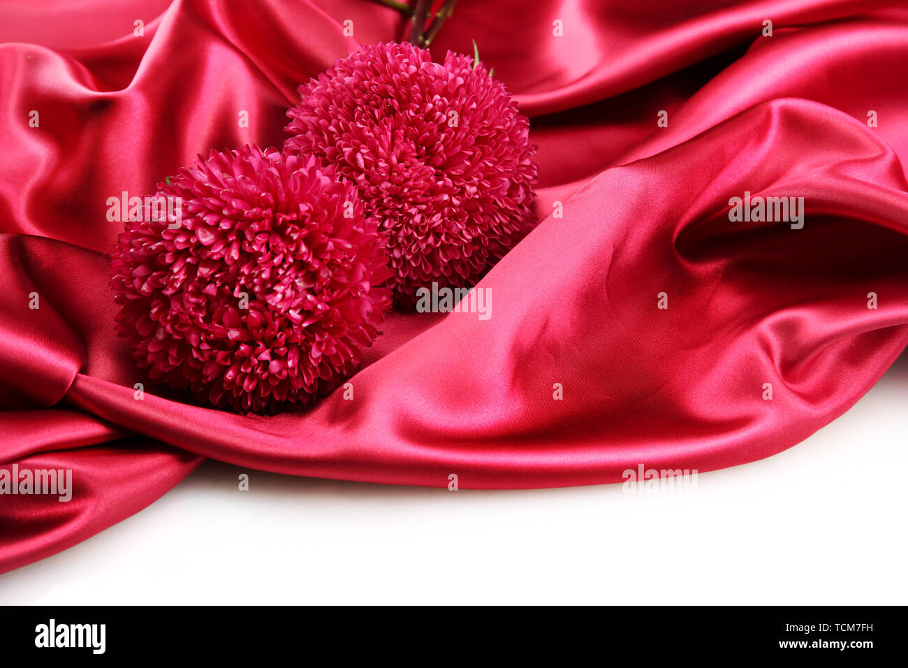 beautiful aster flowers, on silk background Stock Photo - Alamy