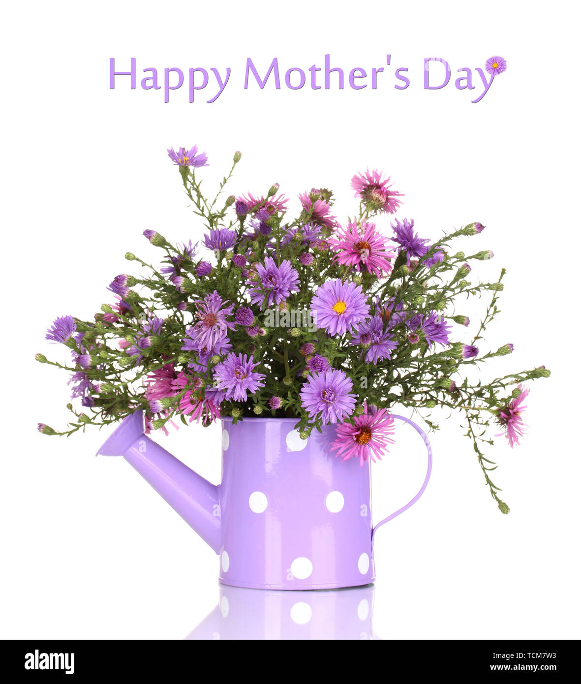 beautiful bouquet of purple flowers in watering can isolated on white ...