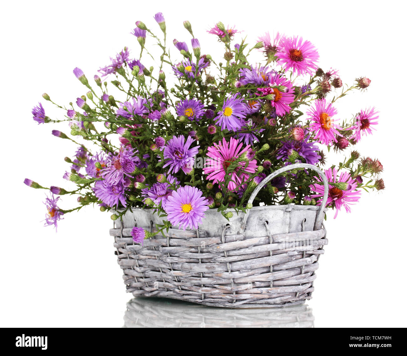beautiful bouquet of purple flowers in basket isolated on white Stock ...