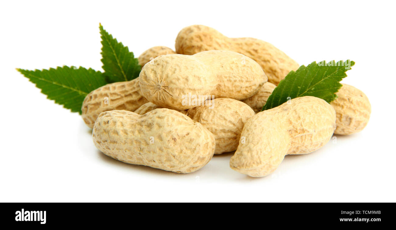 tasty peanuts with leaves, isolated on white Stock Photo - Alamy