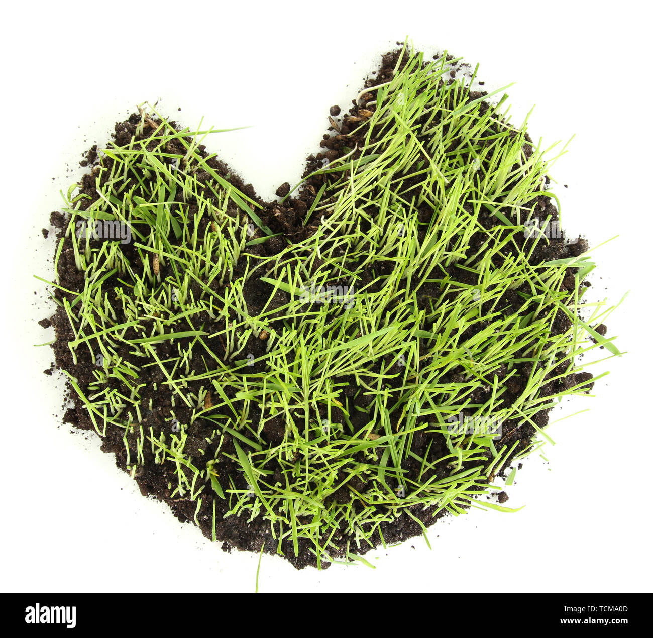 Green grass with ground isolated on white Stock Photo - Alamy