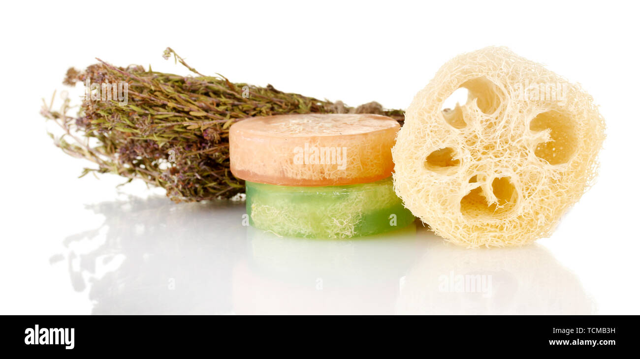 Loofah isolated on white Stock Photo - Alamy