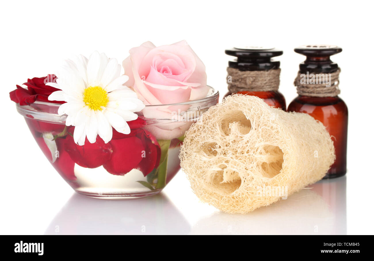 Loofa flowers hi-res stock photography and images - Alamy