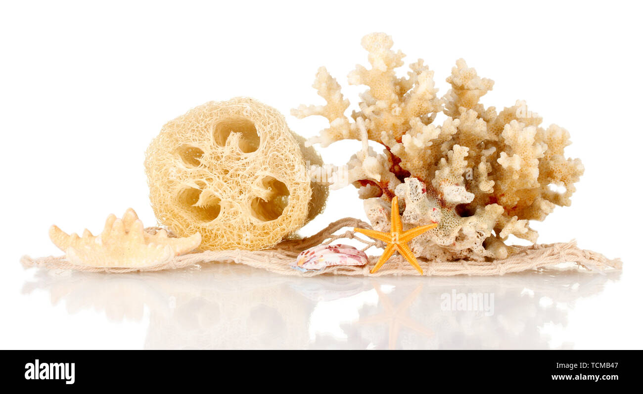 Loofah isolated on white Stock Photo - Alamy