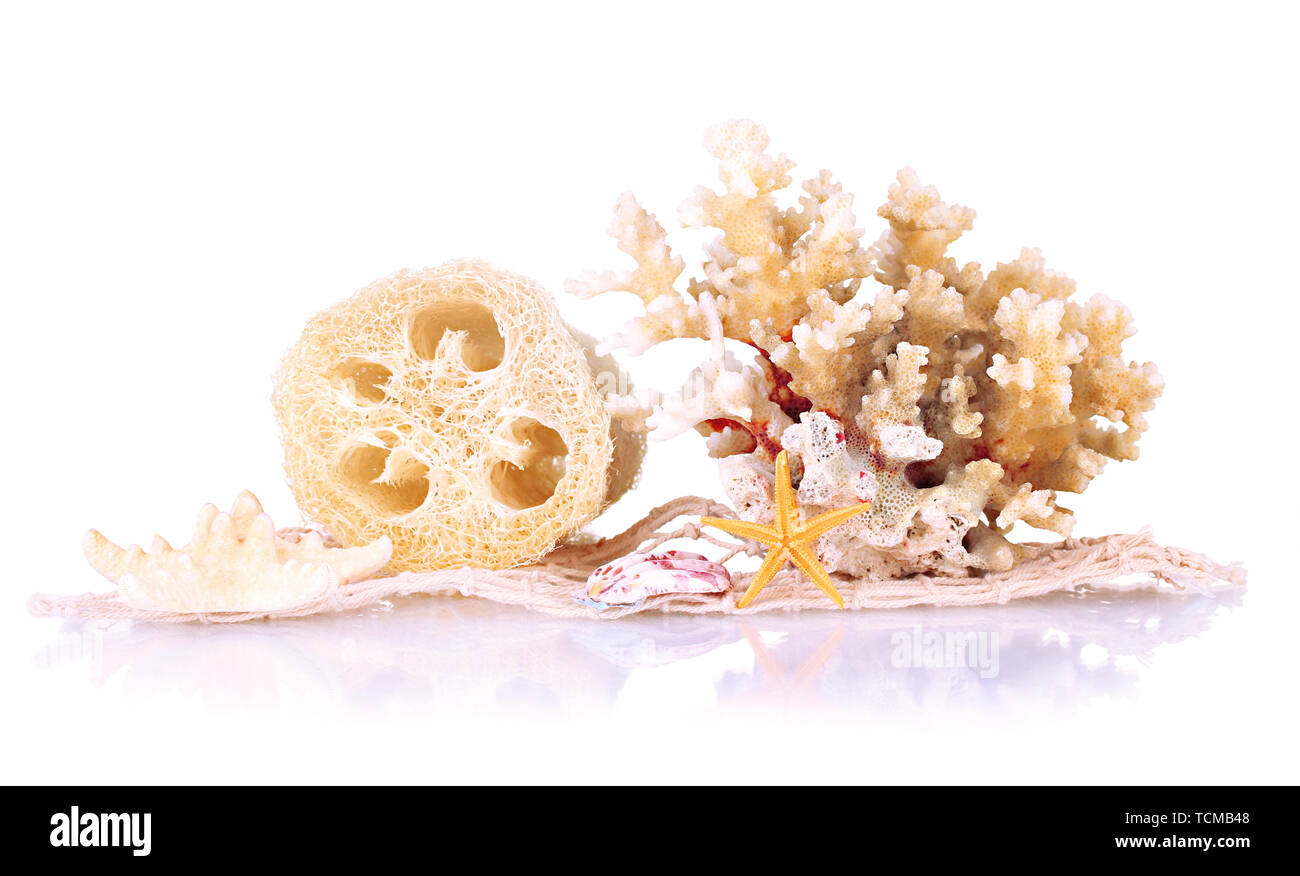 Loofah isolated on white Stock Photo - Alamy