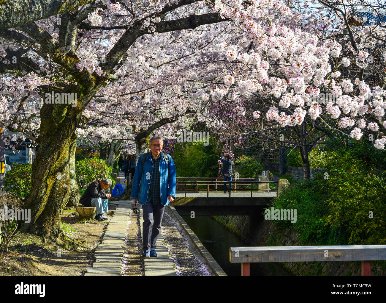 Kyoto, Japan - Apr 9, 2019. People enjoying cherry blossom (sakura) on ...