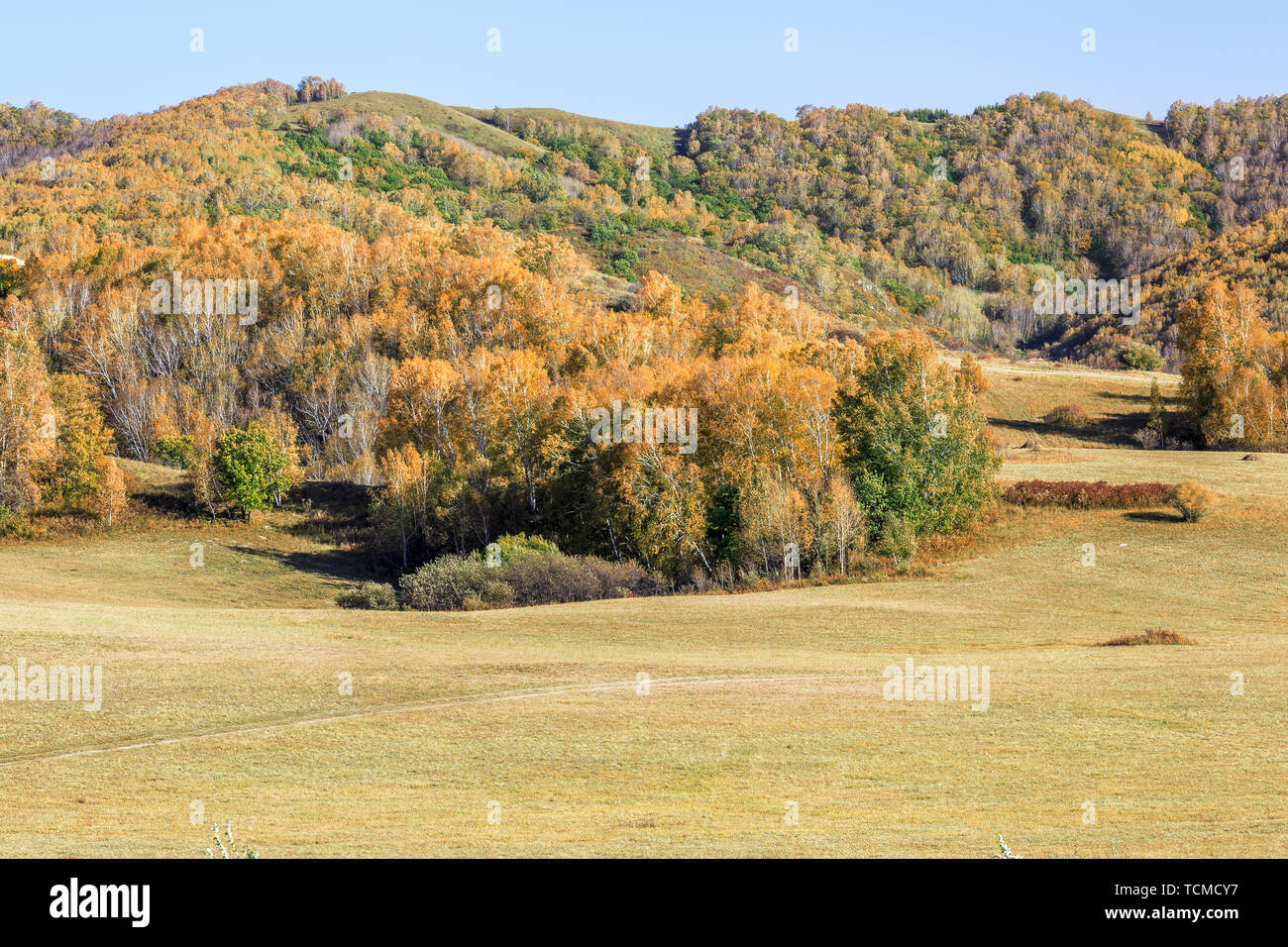 Autumn color on the dam. Paddock dam Yudaokou prairie forest scenic ...