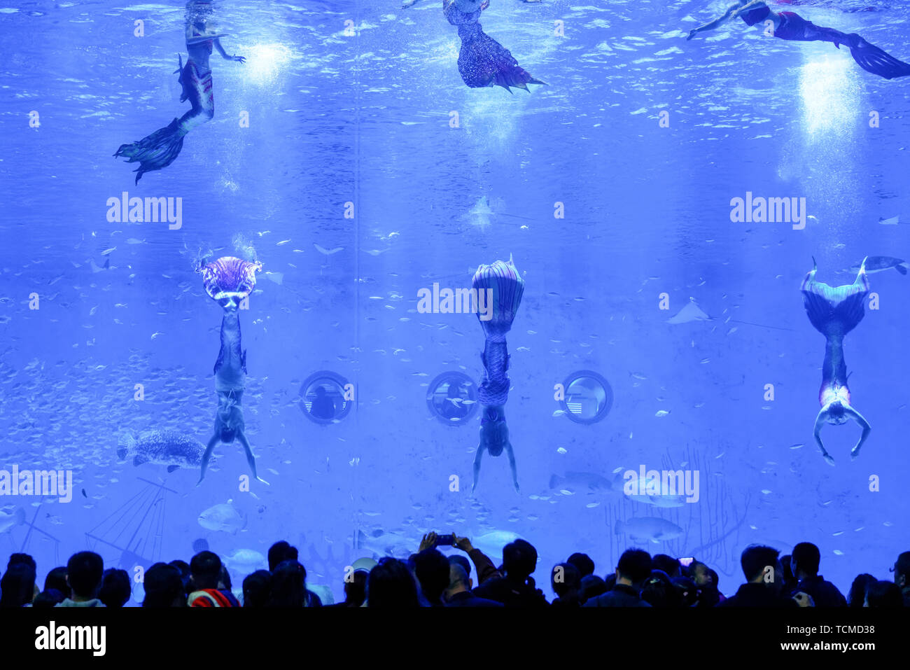 Mermaid performance at Haichang Ocean Park, Shanghai Stock Photo - Alamy