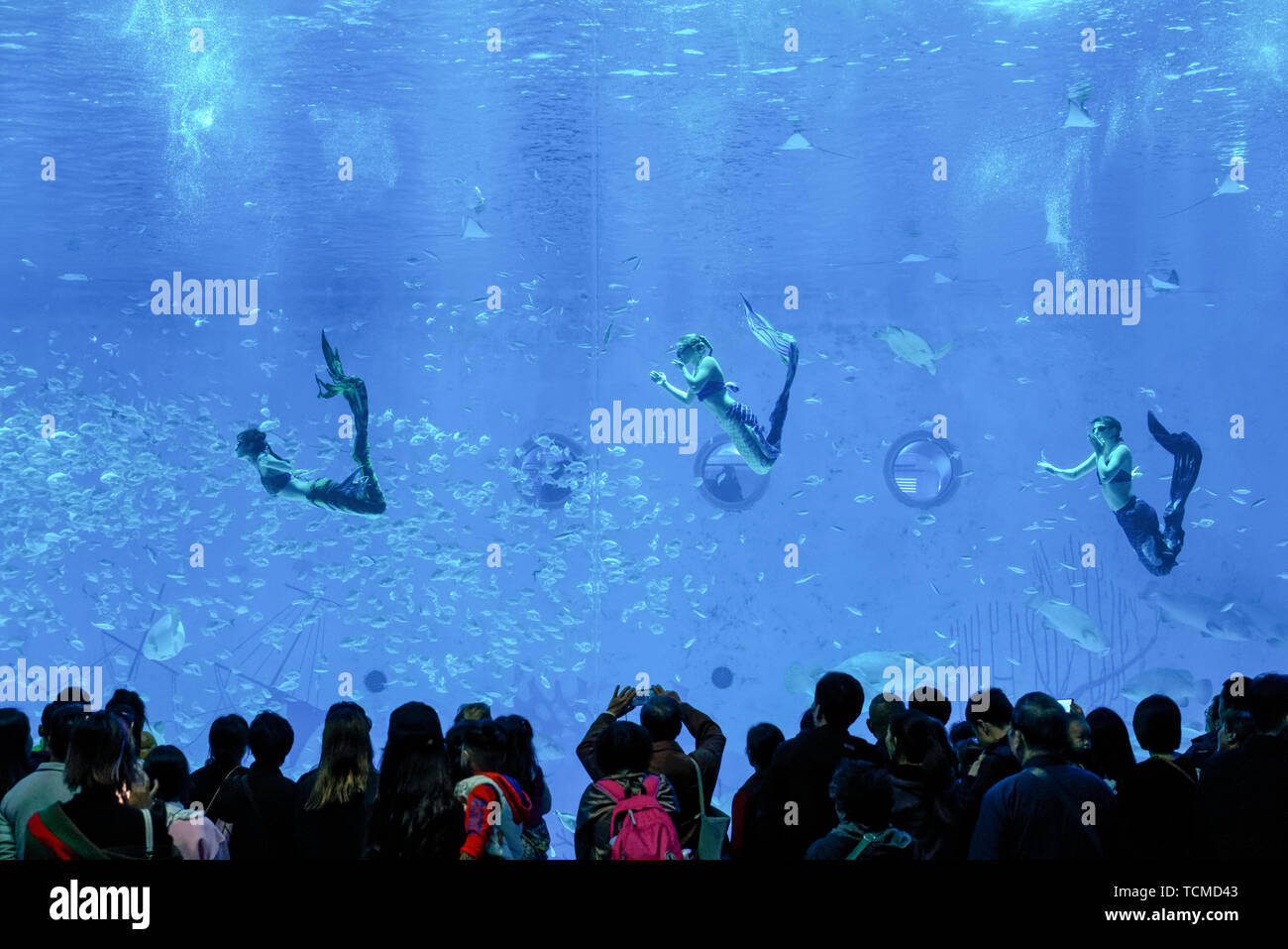 Mermaid performance at Haichang Ocean Park, Shanghai Stock Photo - Alamy