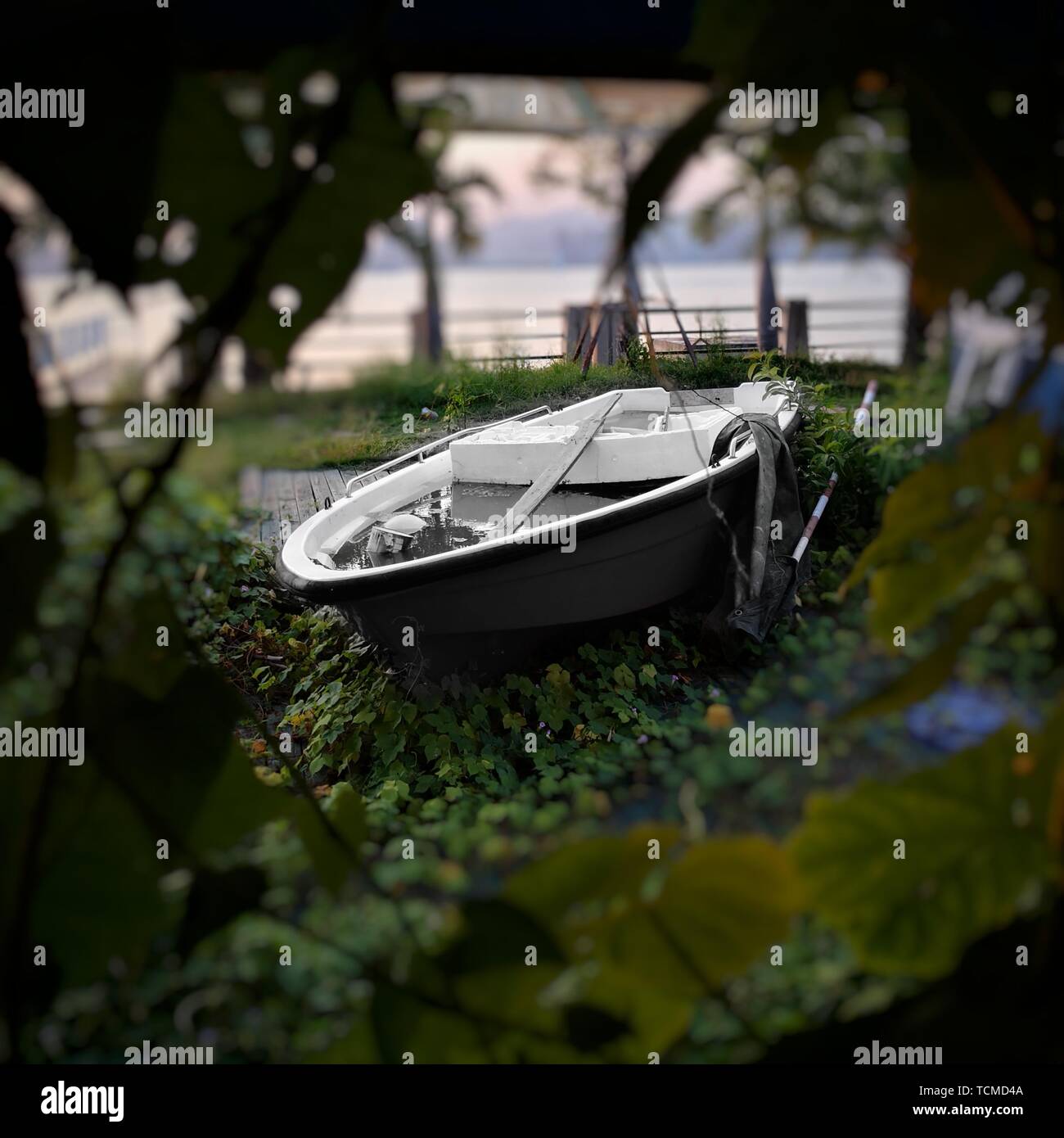 Outdoor tree landscape landscape design means of transportation hi-res ...