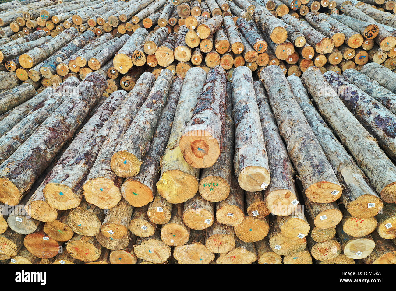A neatly stacked log Stock Photo - Alamy