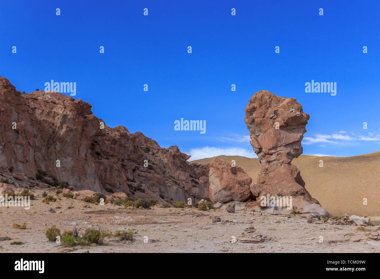 interesting looking stones in the salar de uyuni, bolivia Stock Photo ...