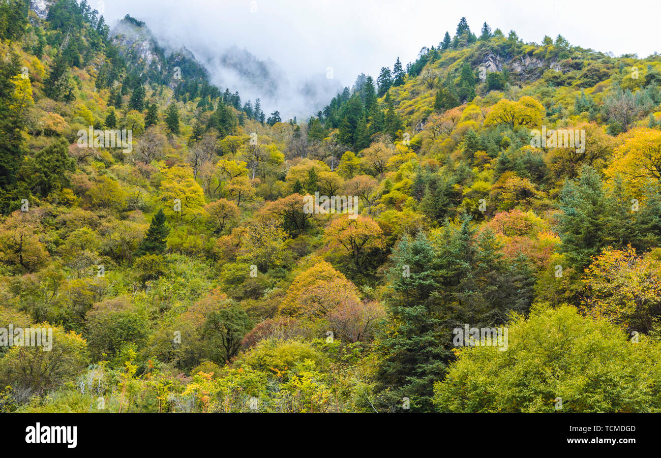 Autumn scenic spots Stock Photo - Alamy