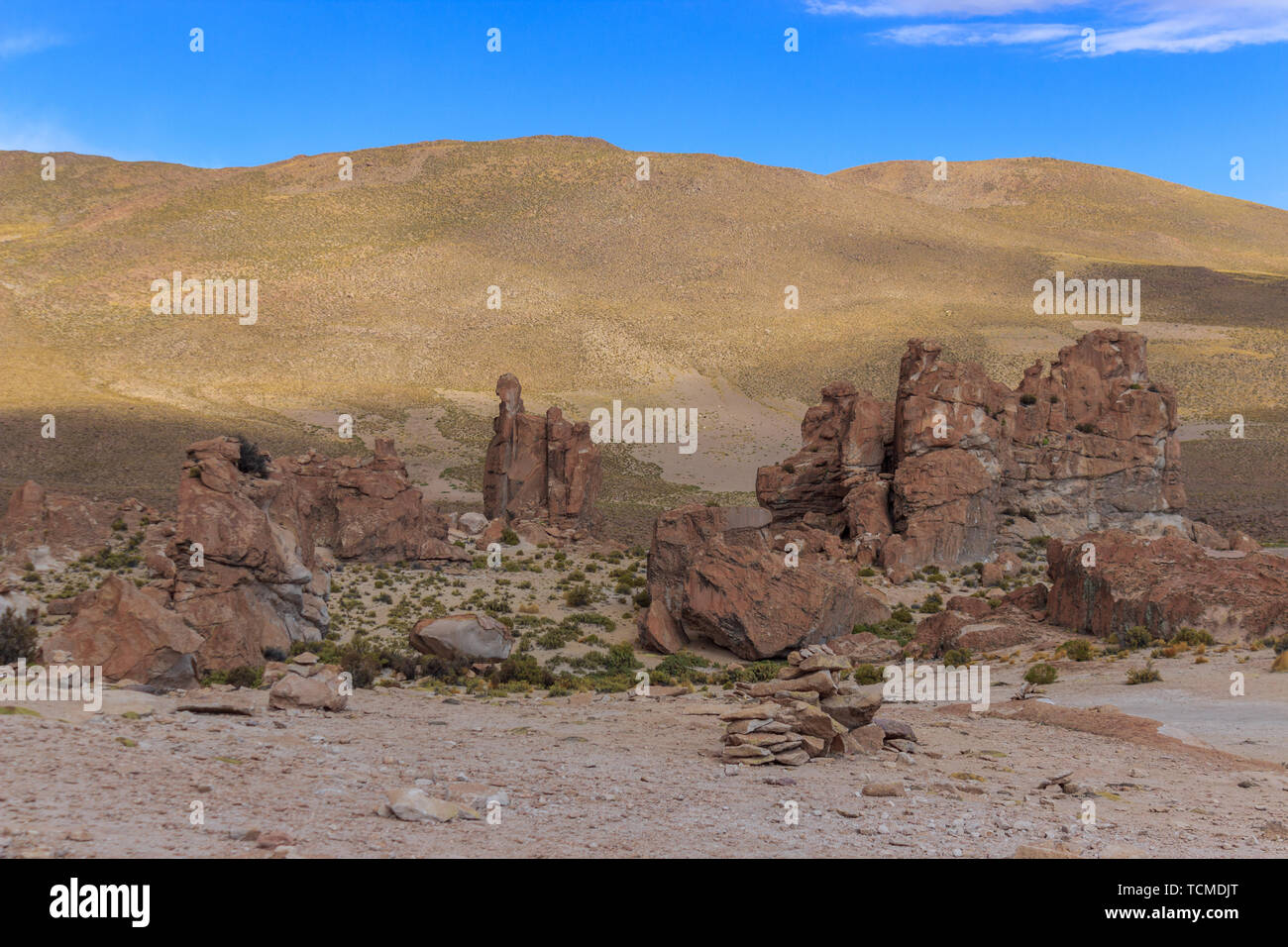 interesting looking stones in the salar de uyuni, bolivia Stock Photo ...