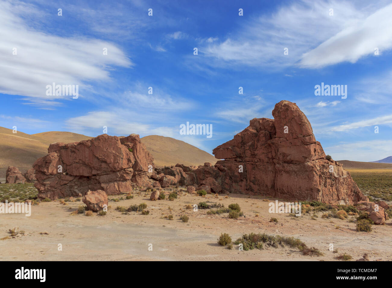interesting looking stones in the salar de uyuni, bolivia Stock Photo ...