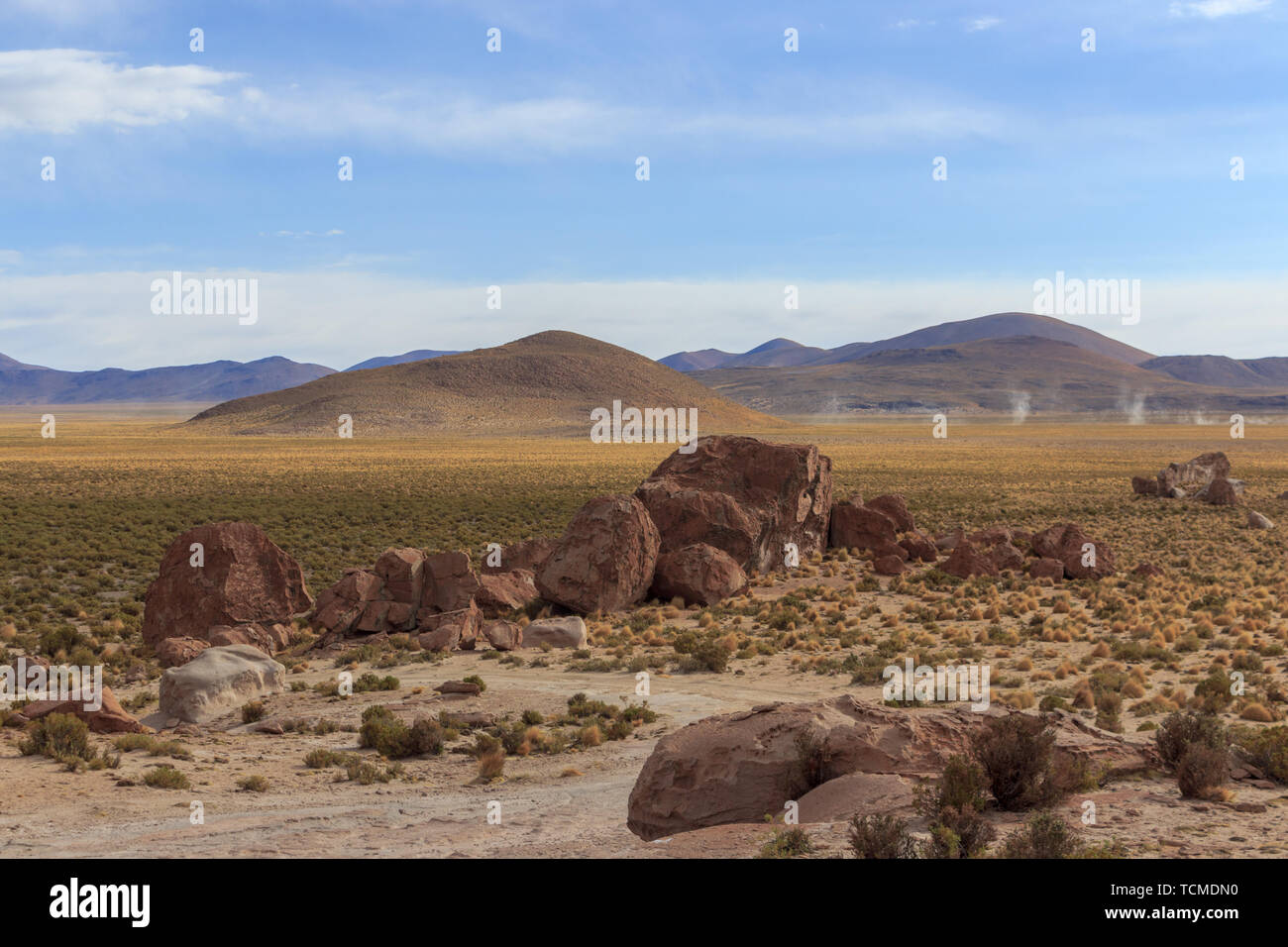 interesting looking stones in the salar de uyuni, bolivia Stock Photo ...