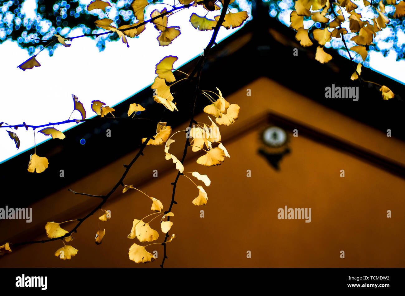 Autumn color of Huqiu, Suzhou Stock Photo - Alamy