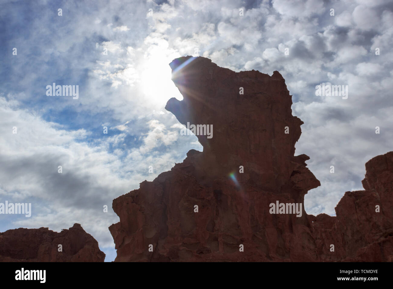 interesting looking stones in the salar de uyuni, bolivia Stock Photo ...