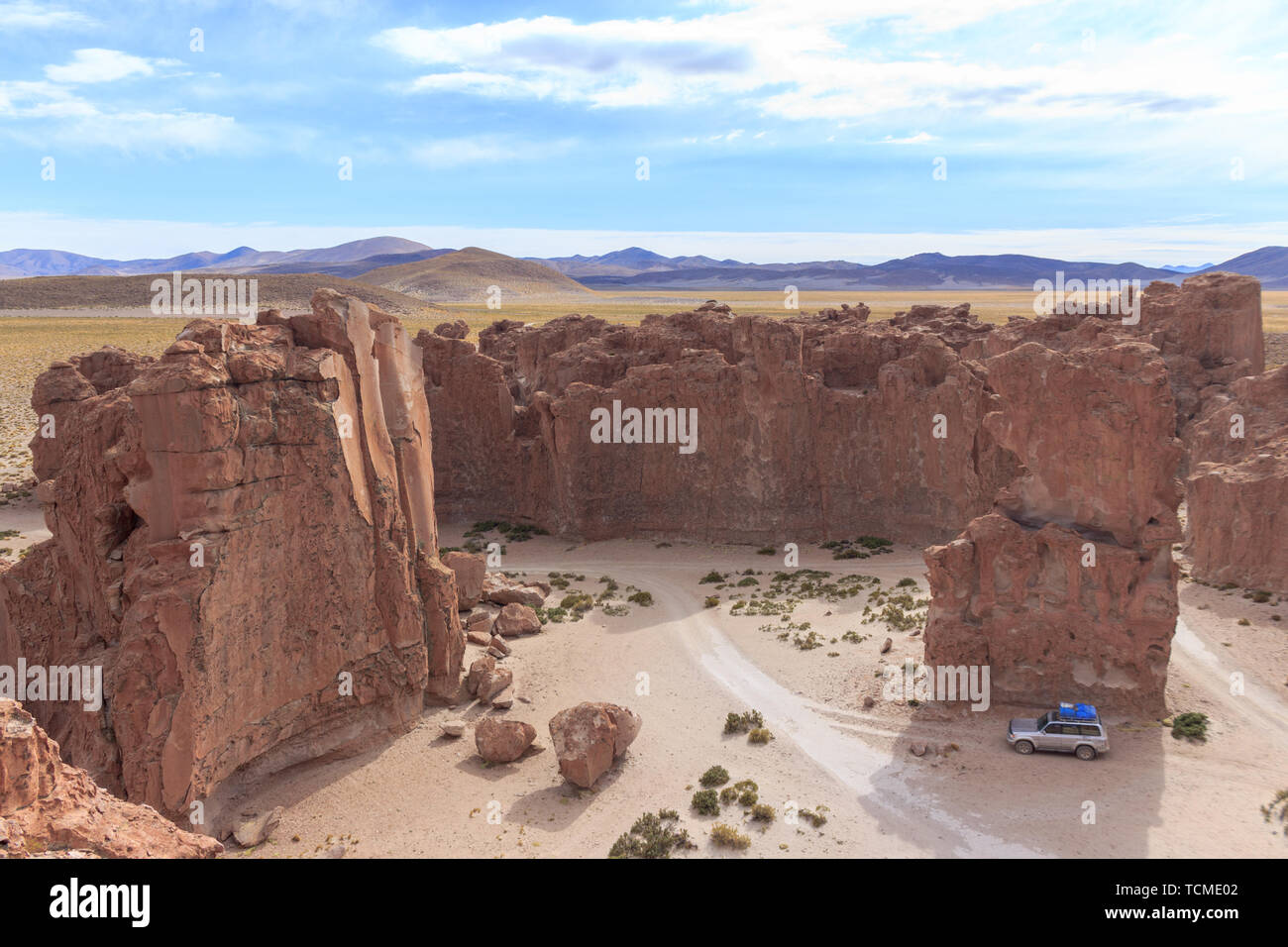 interesting looking stones in the salar de uyuni, bolivia Stock Photo ...