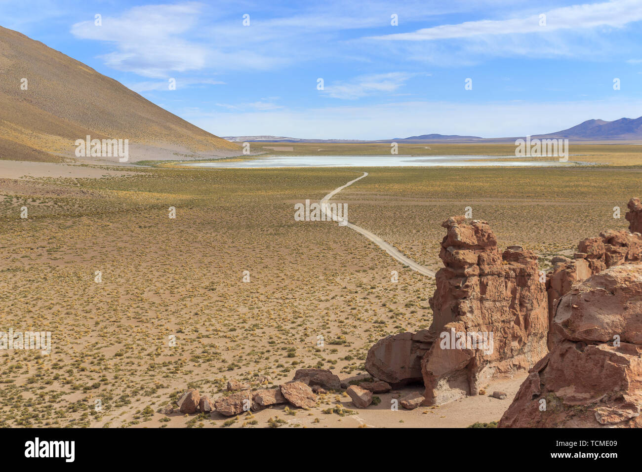 interesting looking stones in the salar de uyuni, bolivia Stock Photo ...