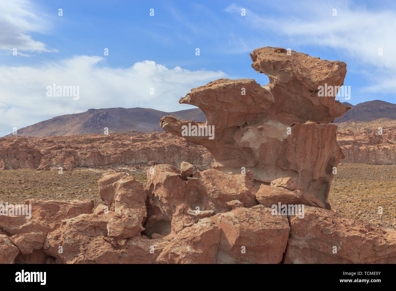 interesting looking stones in the salar de uyuni, bolivia Stock Photo ...