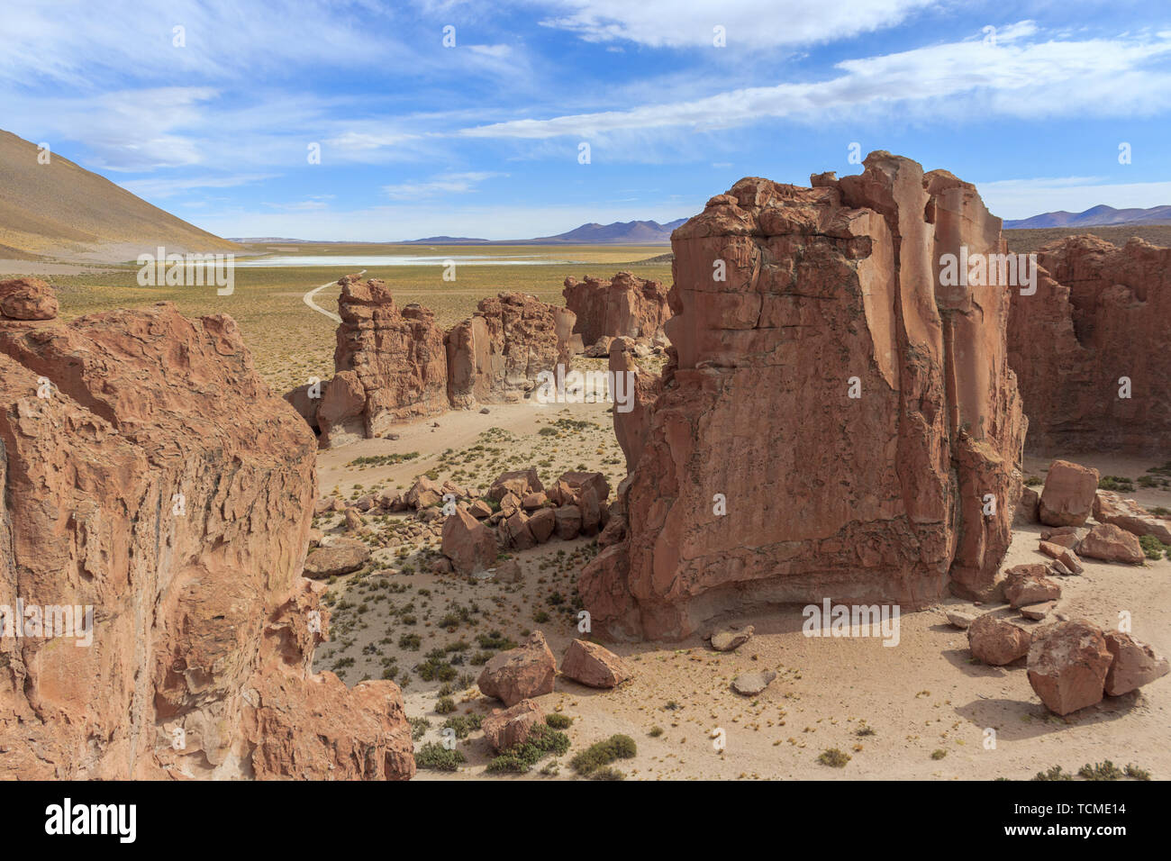 interesting looking stones in the salar de uyuni, bolivia Stock Photo ...