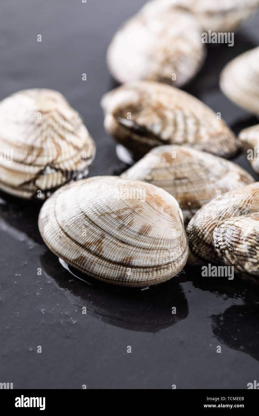 Fan clams hi-res stock photography and images - Alamy
