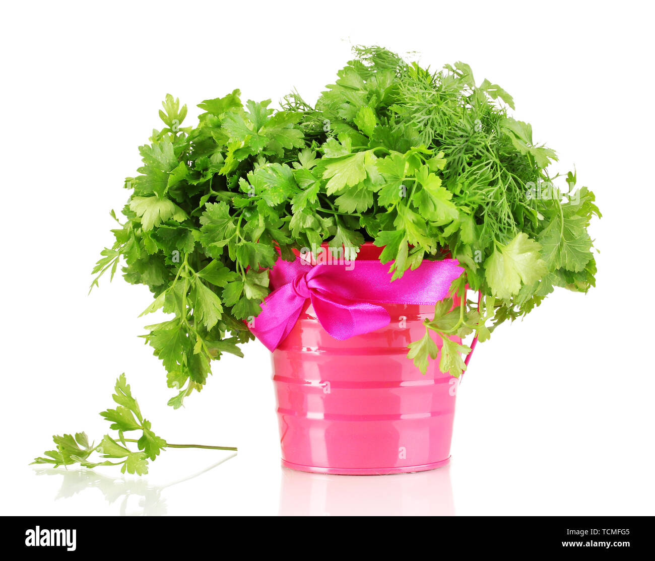 Pink bucket with parsley and dill isolated on white Stock Photo - Alamy