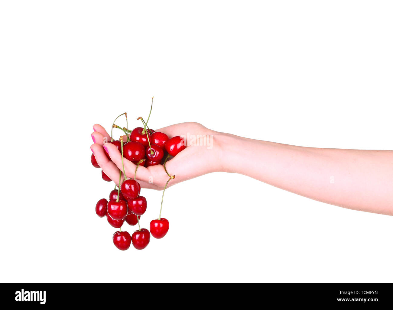 Cherries in a female hand on a white Stock Photo - Alamy