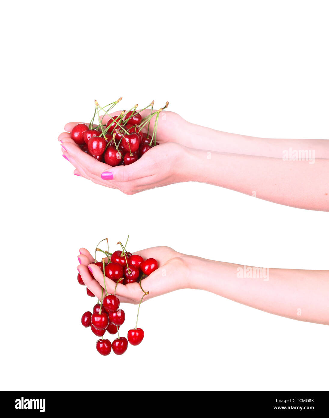collage Cherries in a female hand on a white Stock Photo - Alamy