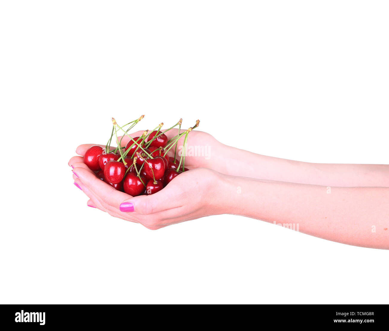 Cherries in a female hand on a white Stock Photo - Alamy