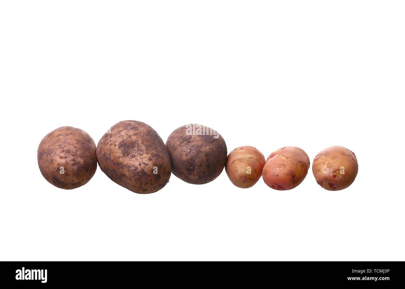 potato isolated on white background close up Stock Photo - Alamy