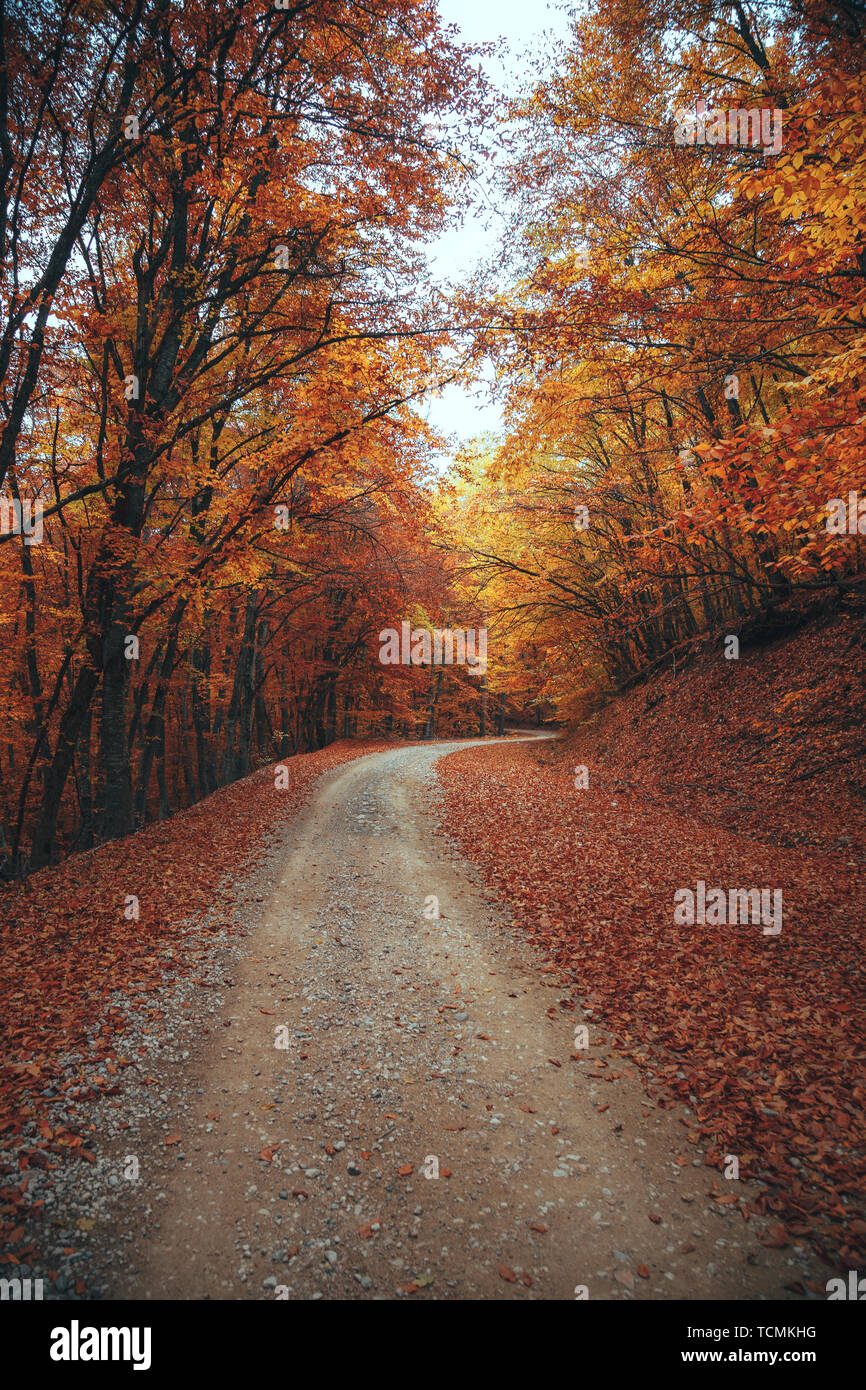 Beautiful autumn forest mountain path autumn mountain landscape ...