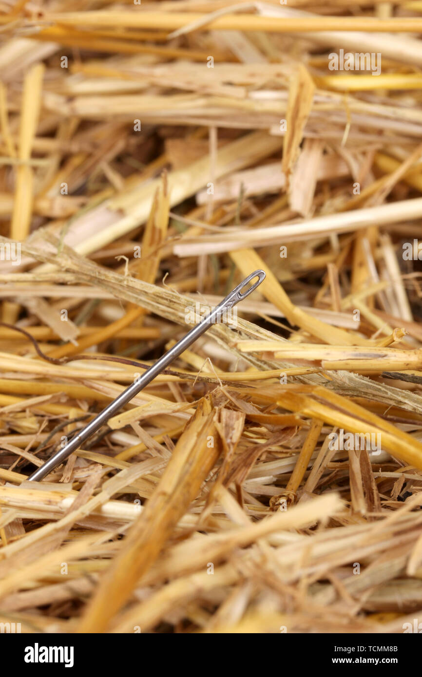 Needle In A Haystack High Resolution Stock Photography and Images - Alamy
