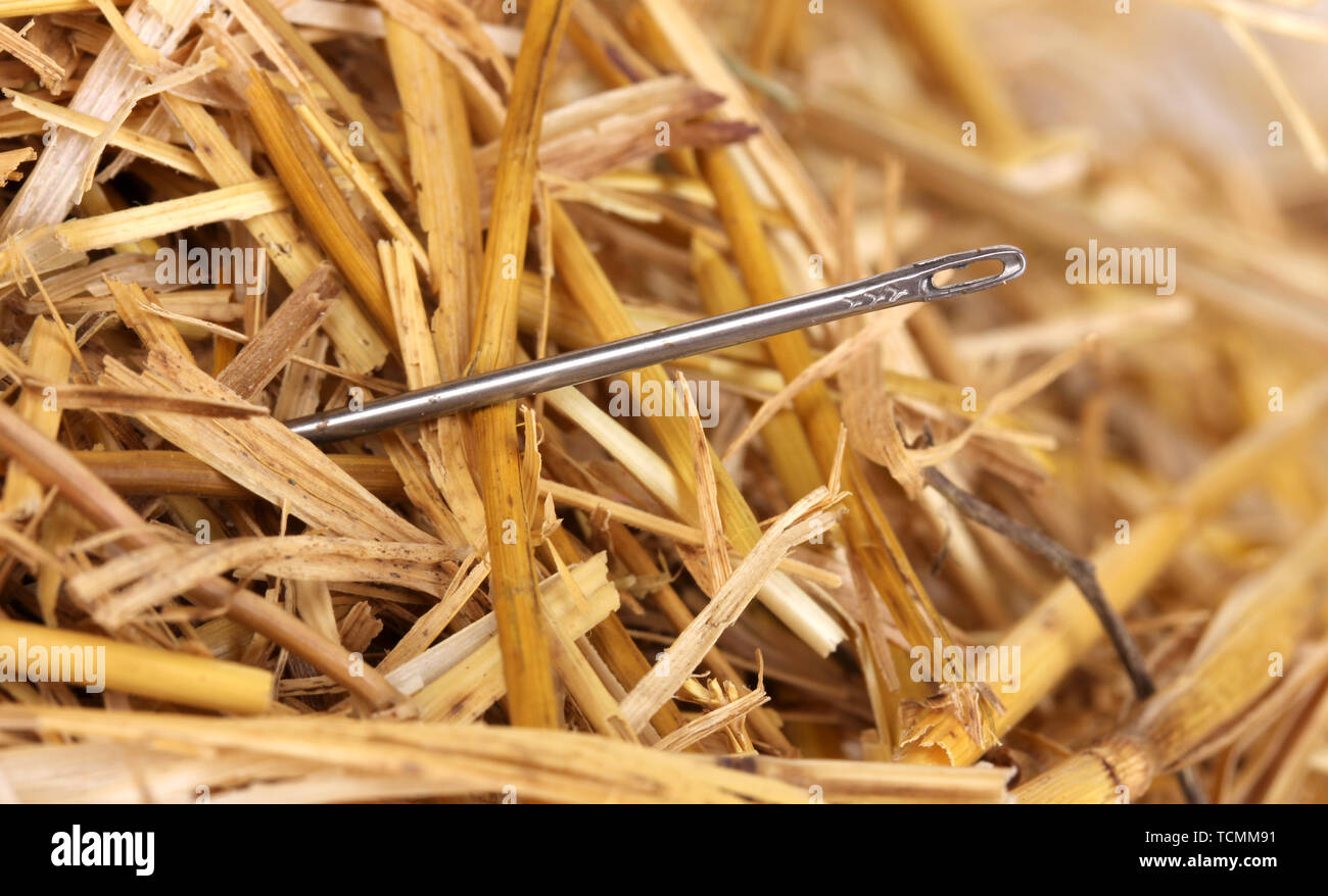 Needle in haystack metaphor hi-res stock photography and images - Alamy