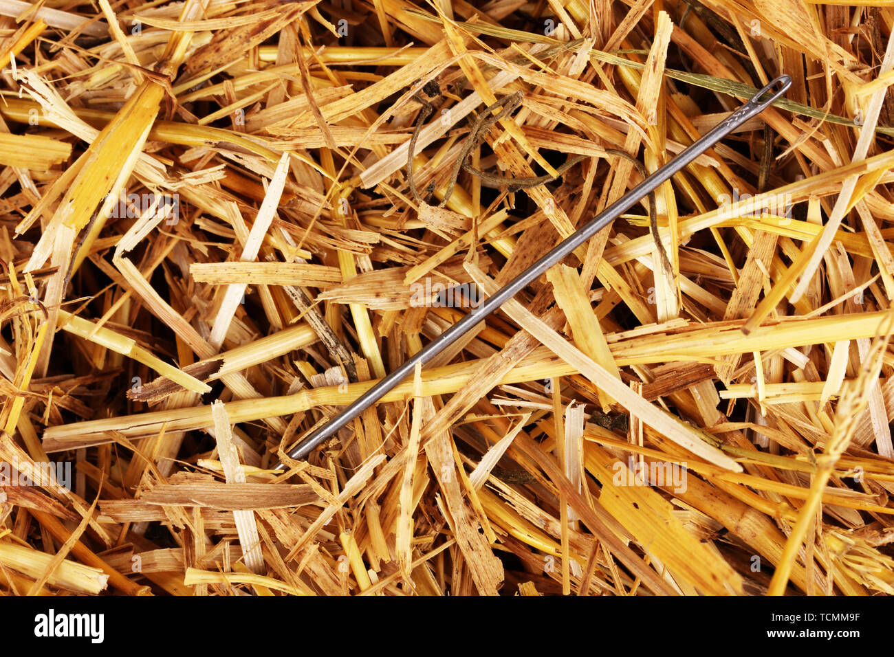 Needle in a haystack hi-res stock photography and images - Alamy