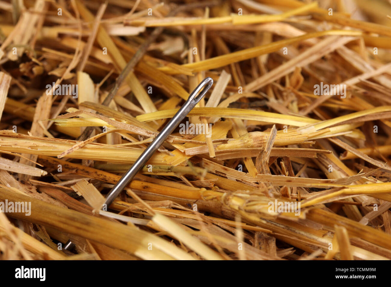 Needle in haystack metaphor hi-res stock photography and images - Alamy
