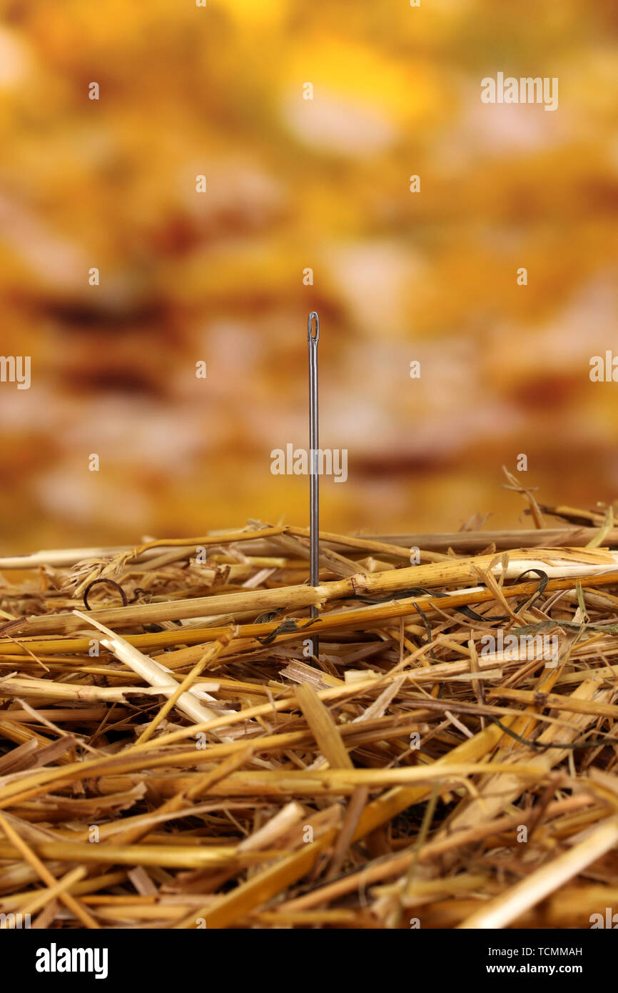 Needle in a haystack close-up Stock Photo - Alamy
