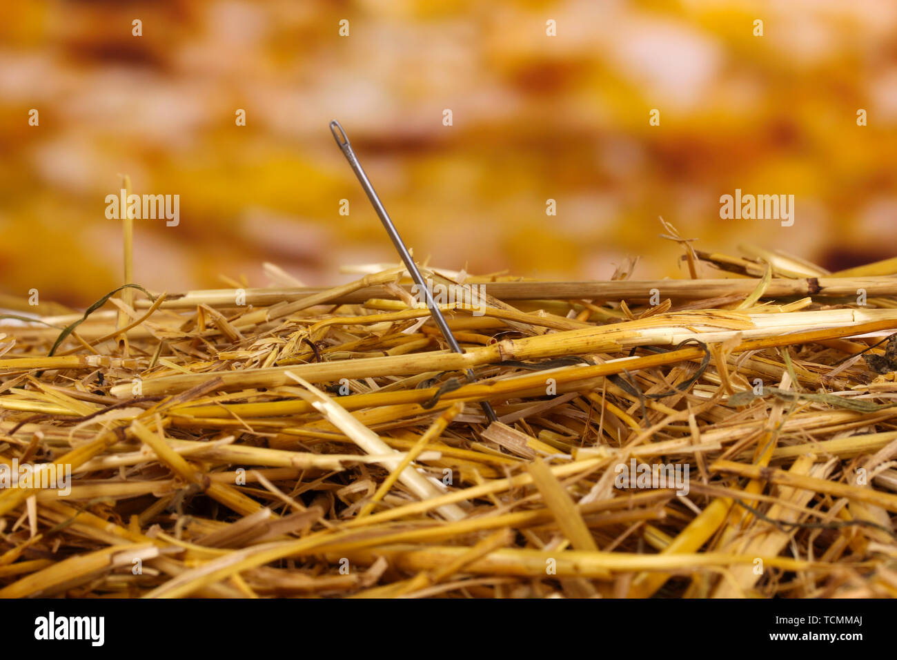 Needle in a haystack hi-res stock photography and images - Alamy
