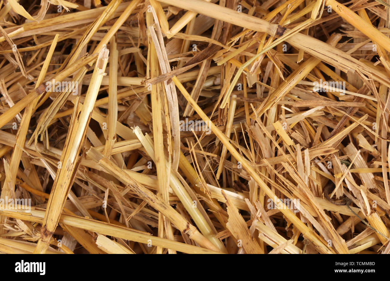 Golden hay close-up Stock Photo - Alamy