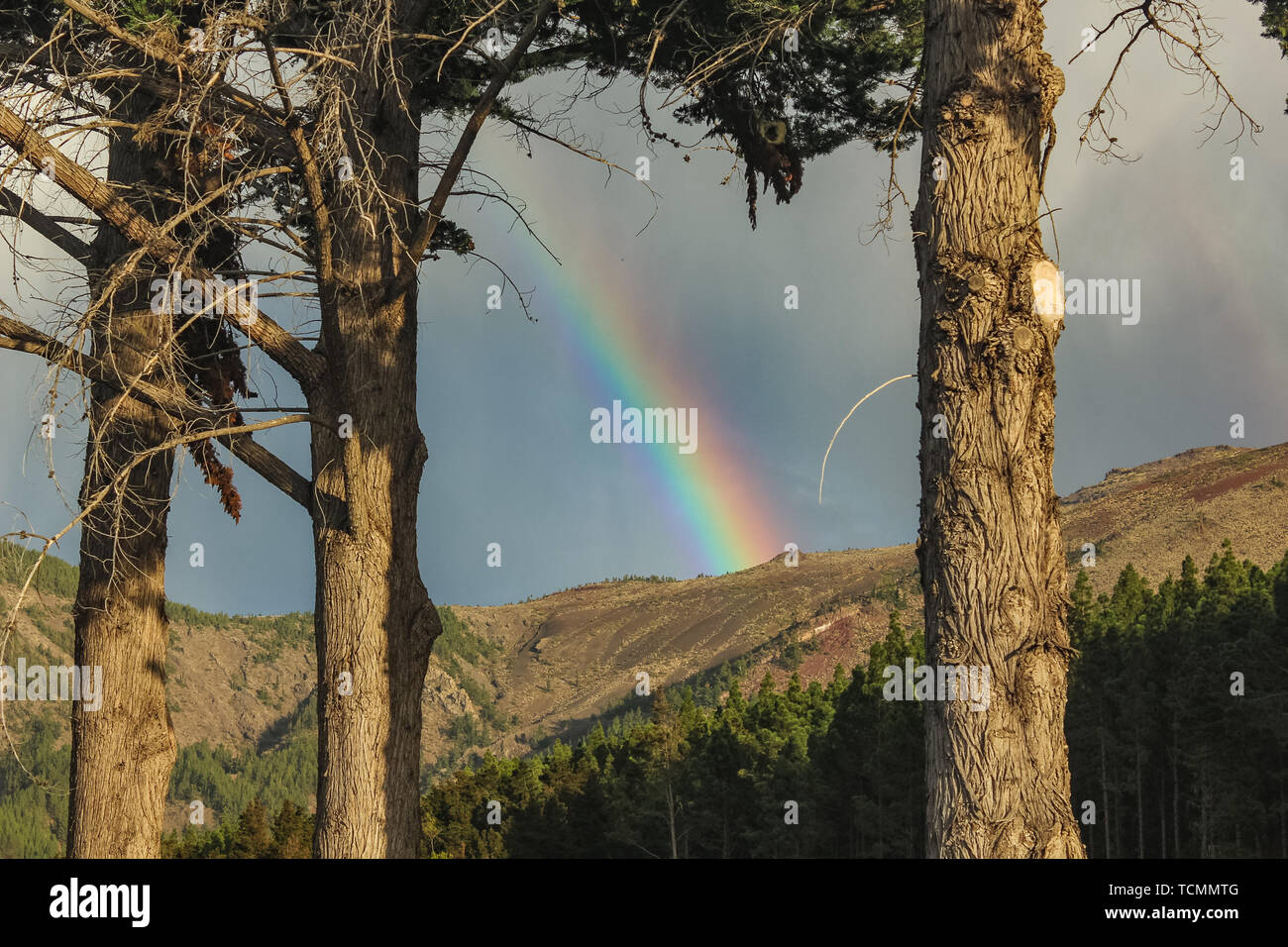Rainbow over the forest hi-res stock photography and images - Alamy