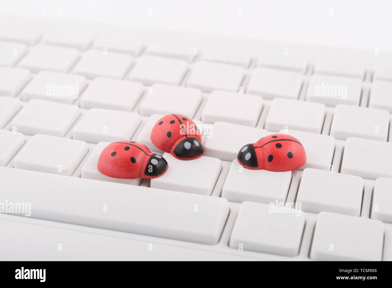 Ladybirds / ladybugs on blank white Qwerty PC keyboard - visual ...