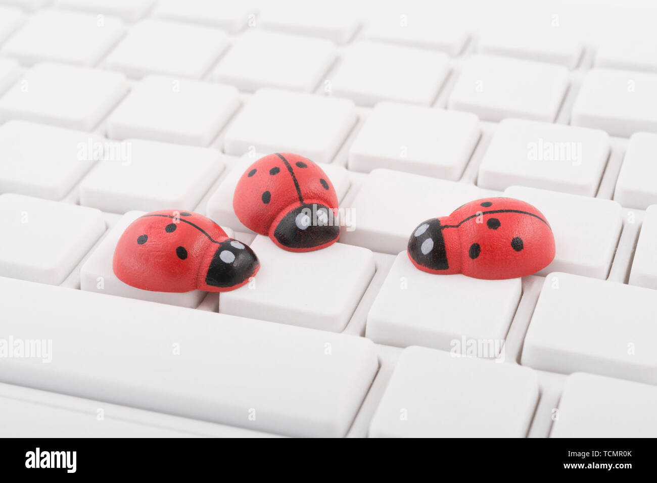 Ladybirds / ladybugs on blank white Qwerty PC keyboard - visual ...