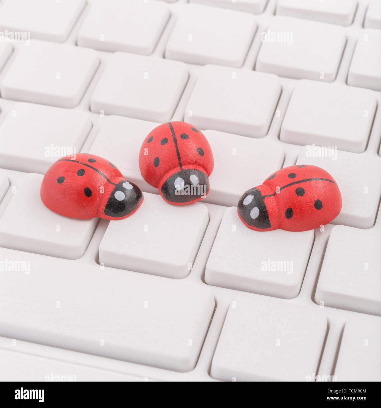 Ladybirds / ladybugs on blank white Qwerty PC keyboard - visual ...