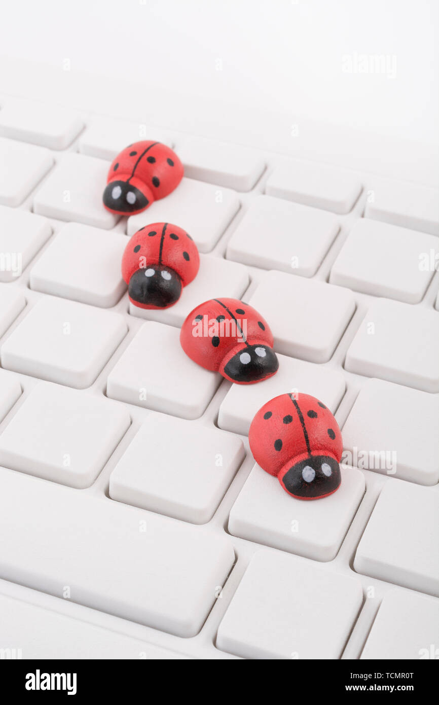 Ladybirds / ladybugs on blank white Qwerty PC keyboard - visual ...