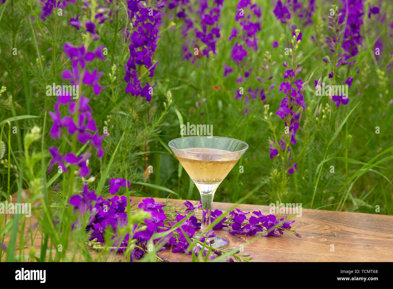 Wine glass against rural landscape, flower collection. Spring begin ...