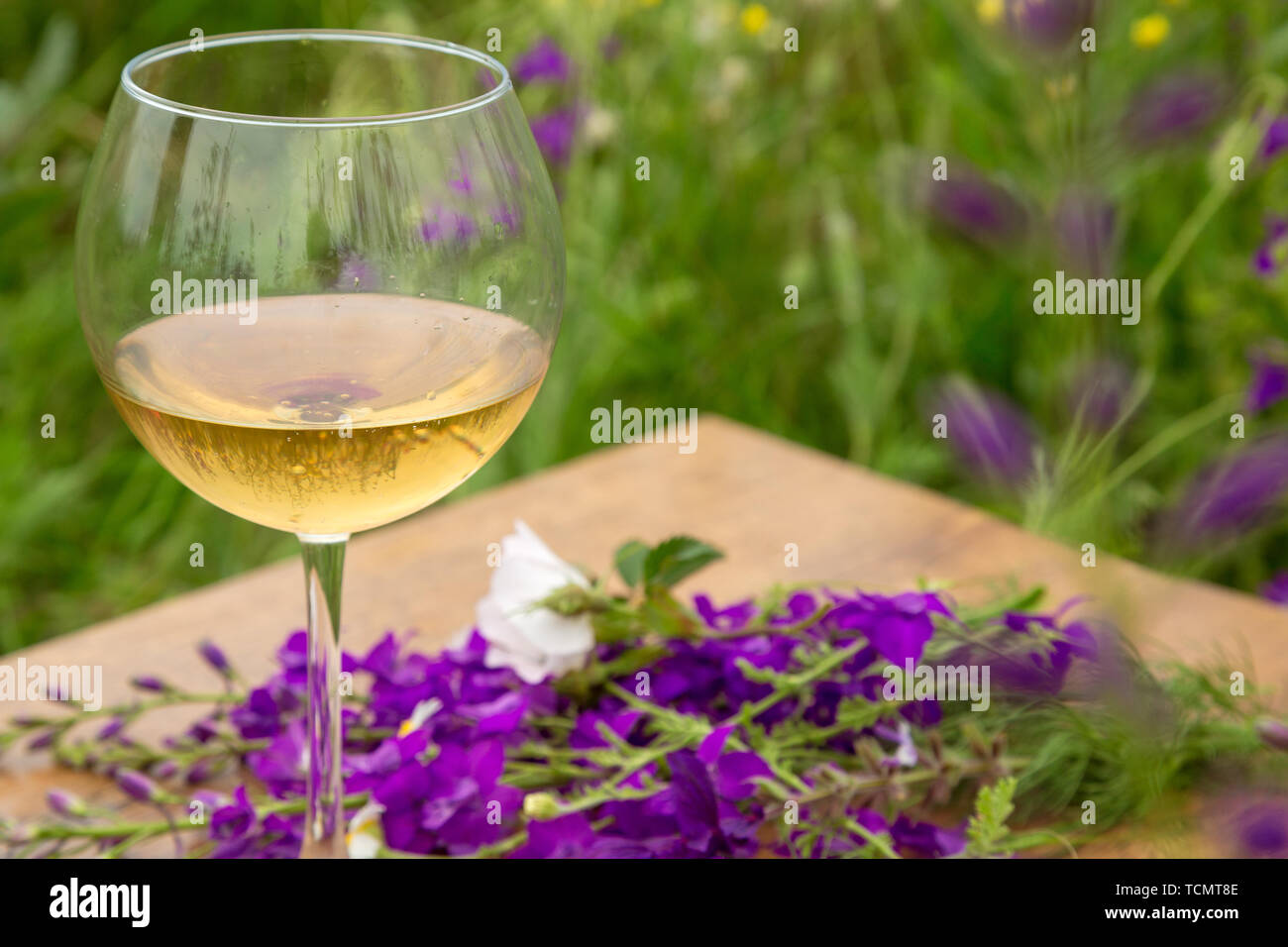 Wine glass against rural landscape, flower collection. Spring begin ...