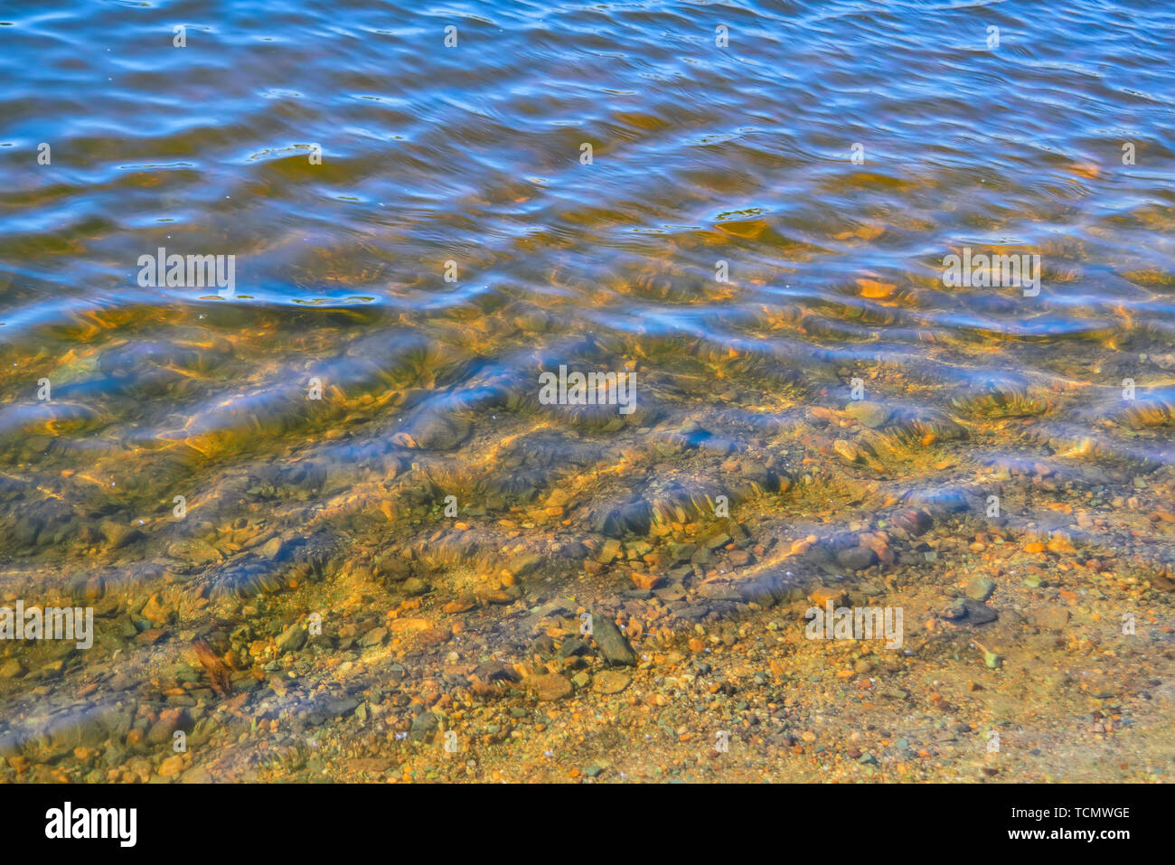 River water surface texture on a sunny day Stock Photo - Alamy