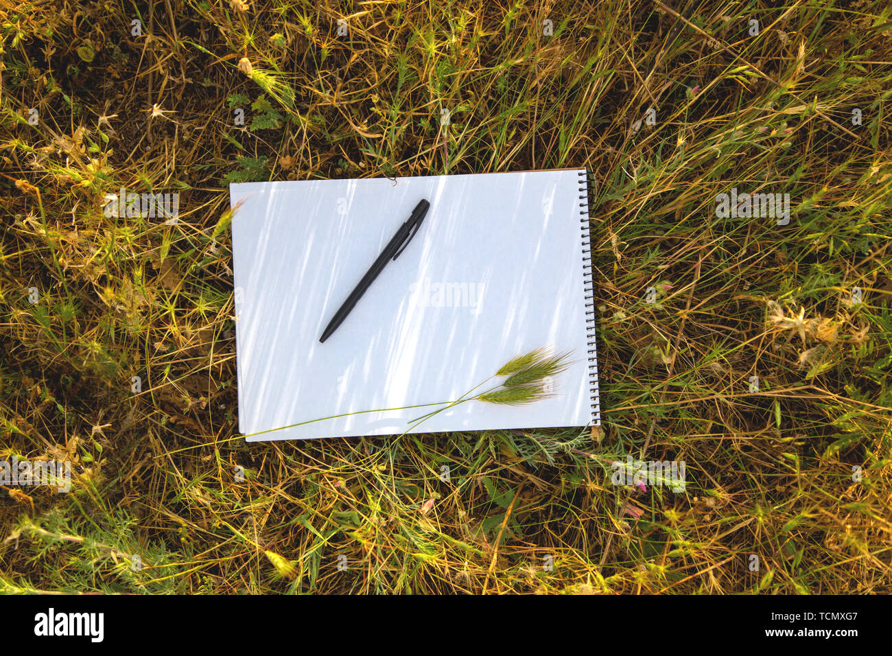 Open field notes hi-res stock photography and images - Alamy