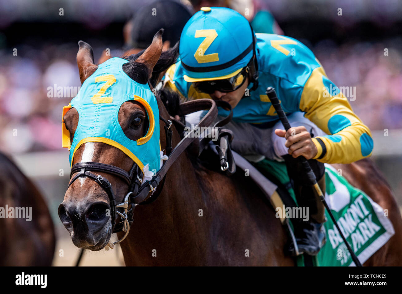 Easy goer thoroughbred hi-res stock photography and images - Alamy